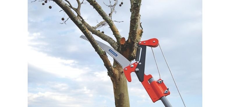 Tipos de Podas e suas Funções - Agromania