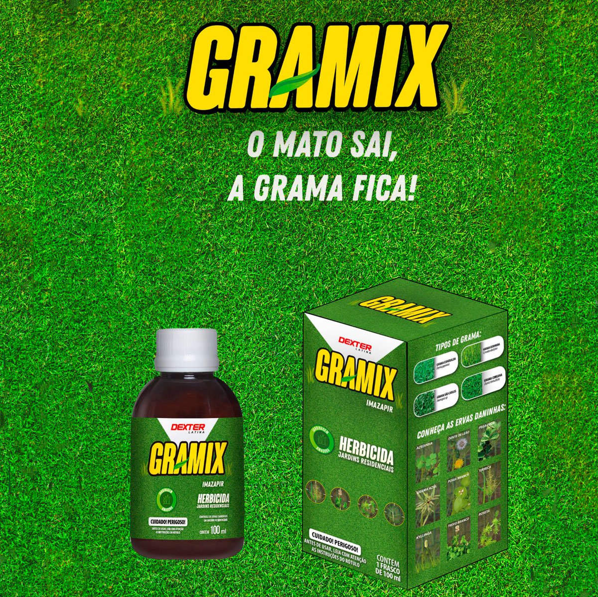 Herbicida Seletivo Gramix Dexter Latina 100 ml